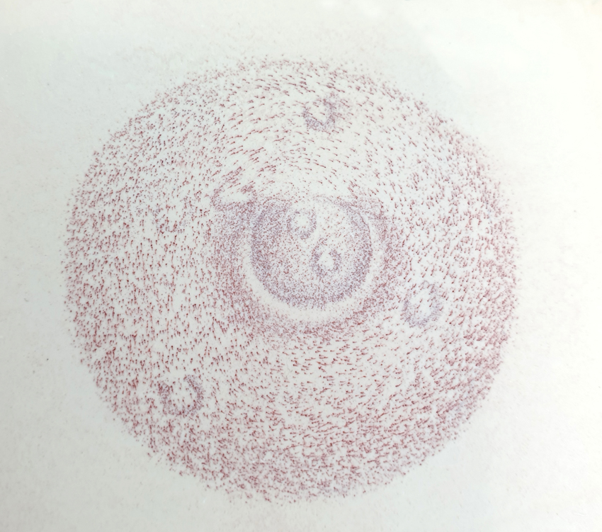 Areola Pigmentation – Spa & more